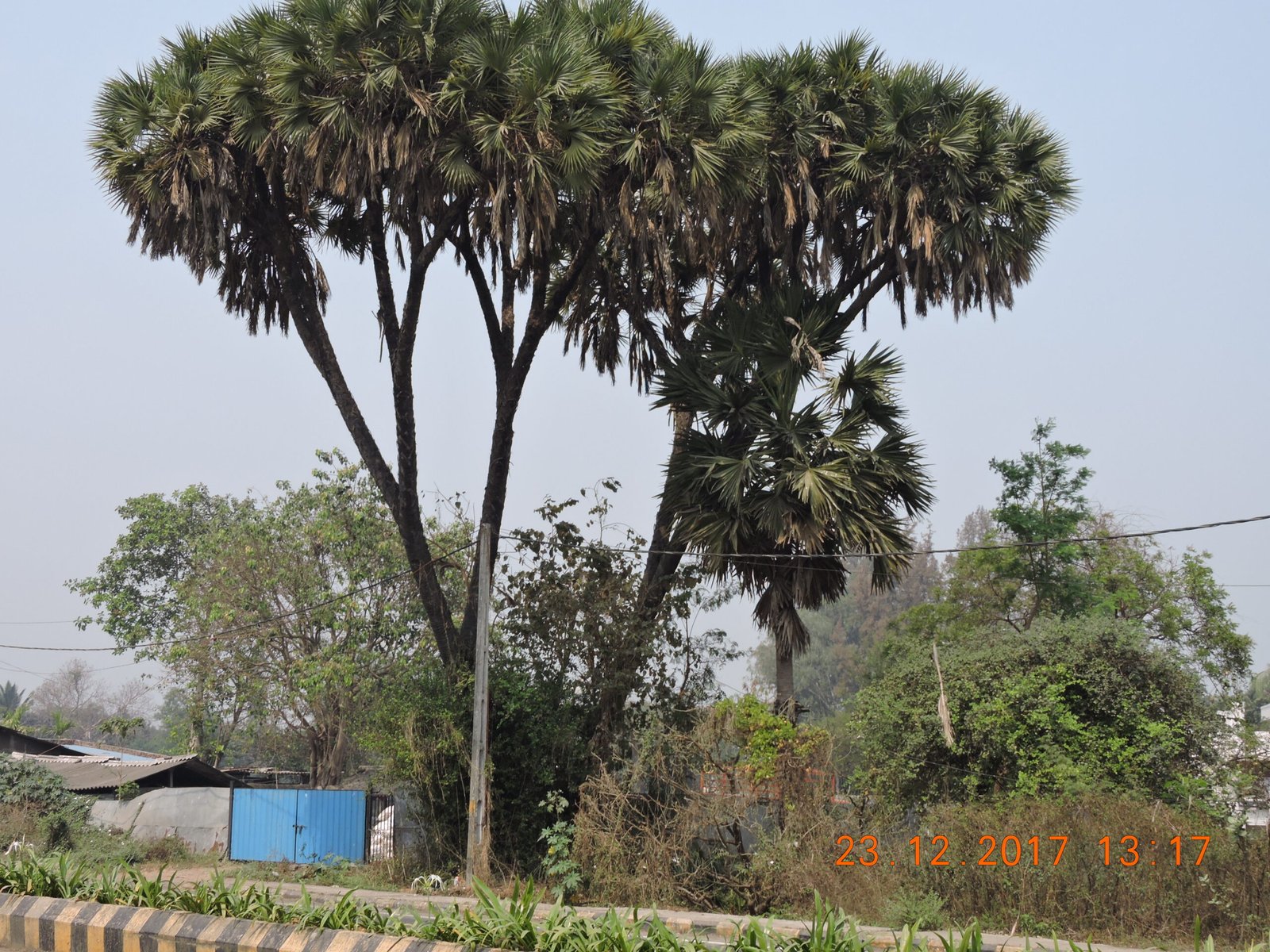 Terrestrial Environment Baseline Studies – Ananthsree Eco-Care