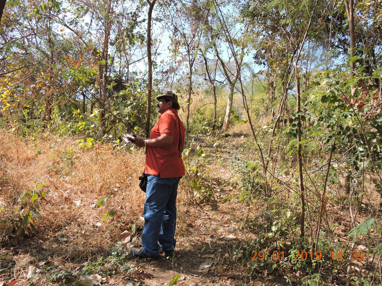 Terrestrial Environment Baseline Studies – Ananthsree Eco-Care