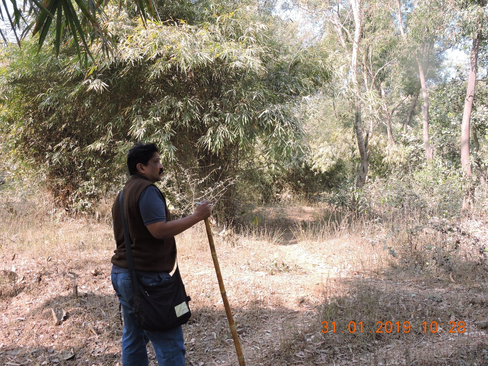 Terrestrial Environment Baseline Studies – Ananthsree Eco-Care